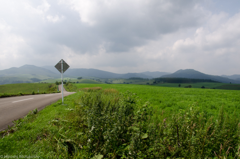 Experience the Essence of Hokkaido at Naitai Farm – Fleemy: Your Guide ...