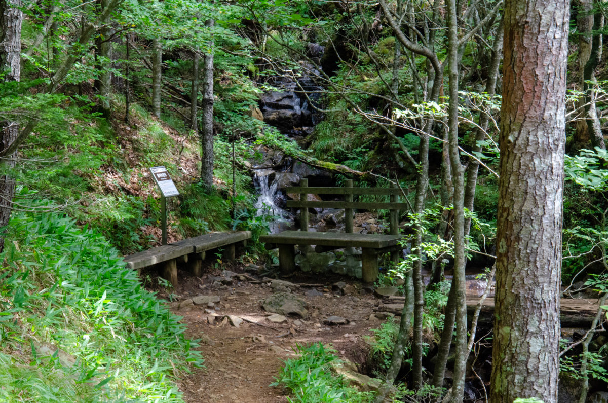 Exploring Mt. Apoi Geopark and Discovering Precious Alpine Plants in ...