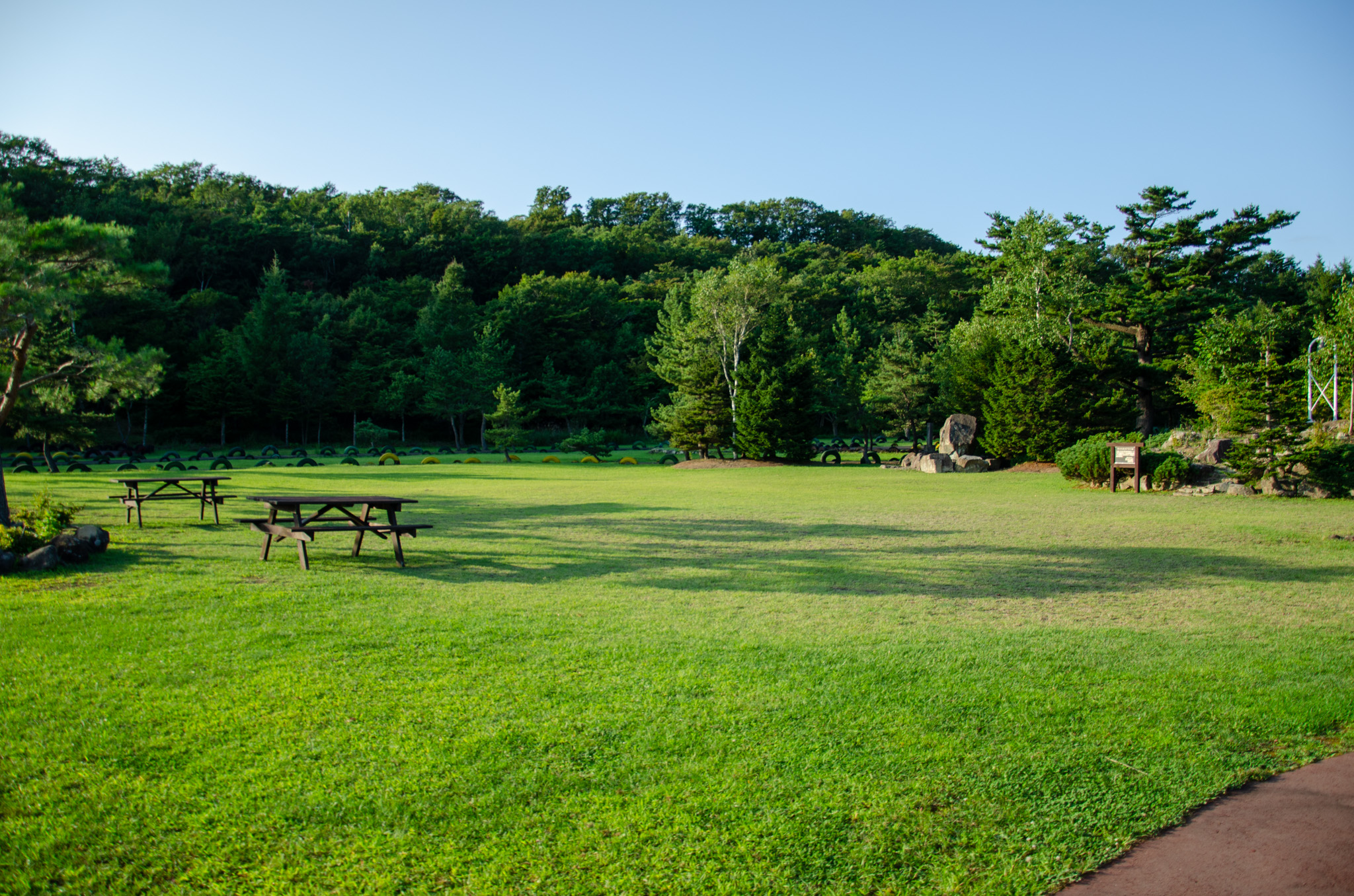 Exploring Mt. Apoi Geopark and Discovering Precious Alpine Plants in ...