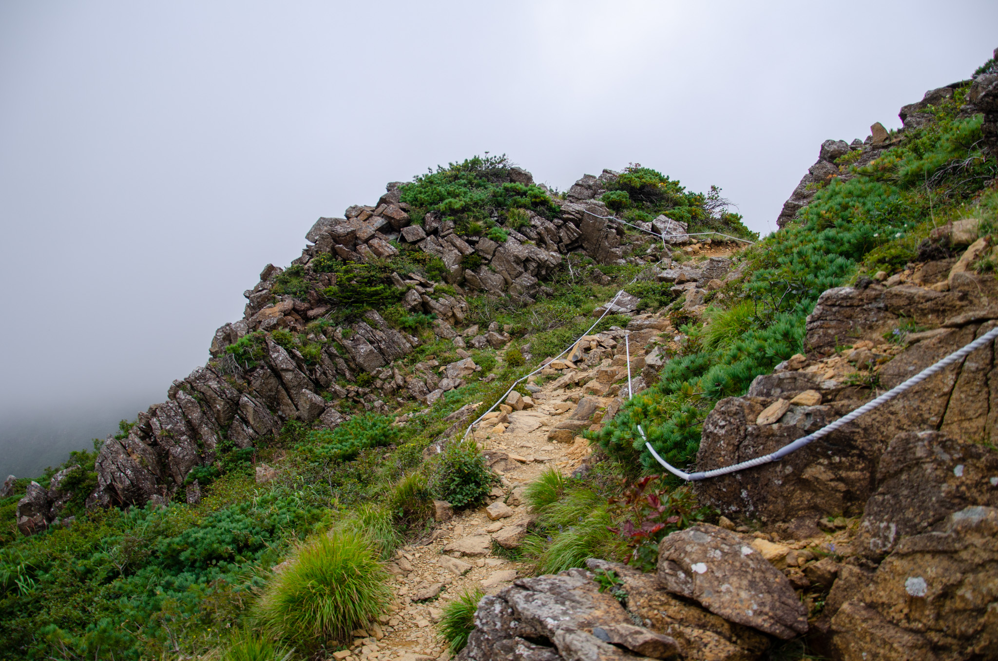 Climbing Mt.Apoi Geopark and looking precious alpine plants in Samani ...