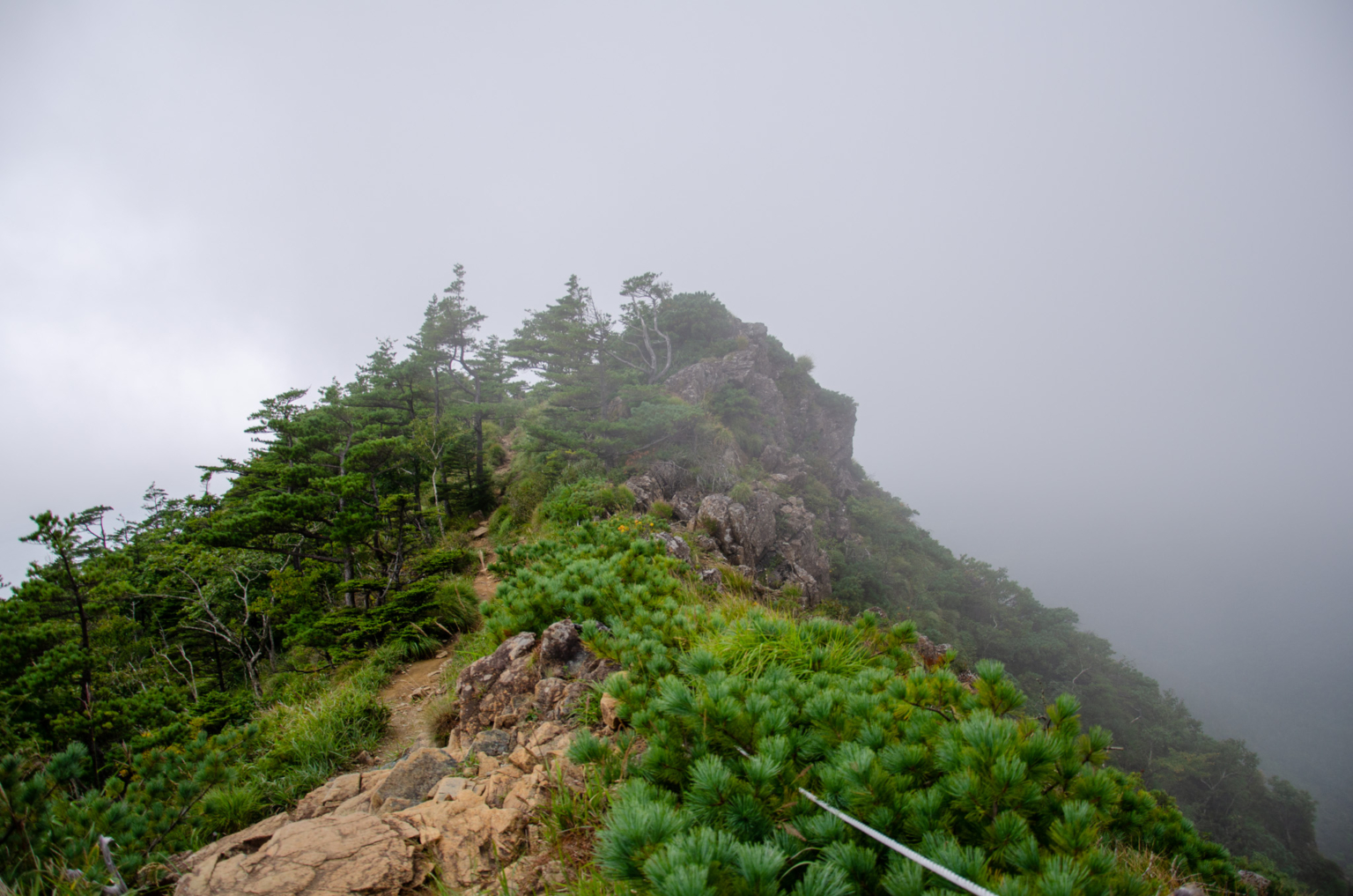 Climbing Mt.Apoi Geopark and looking precious alpine plants in Samani ...